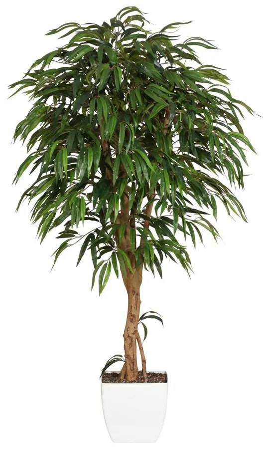 Gasper Strom Ficus 180 cm (plastový obal)