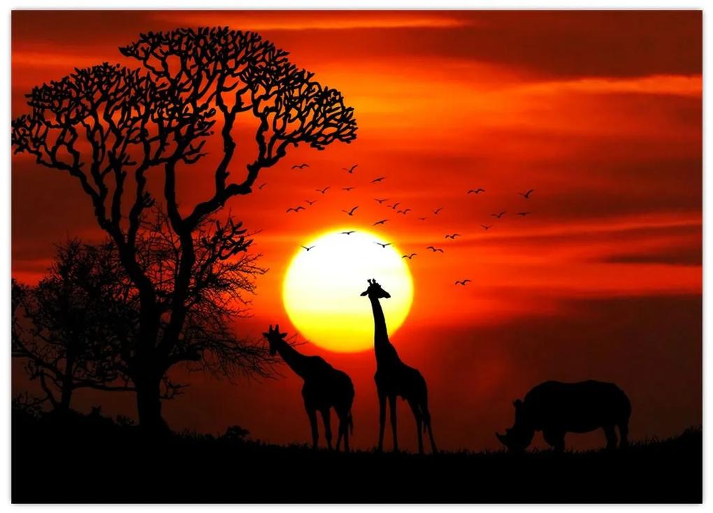 Skleněný obraz - Siluety zvířat při západu slunce (70x50 cm)