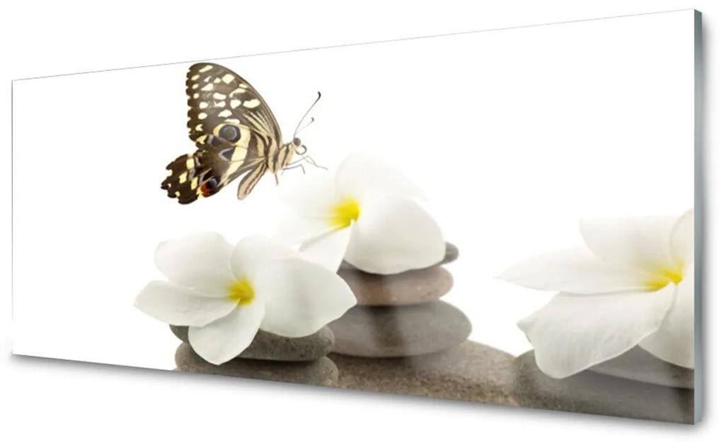 Skleněný obraz Motýl Květ Kameny Rostlina