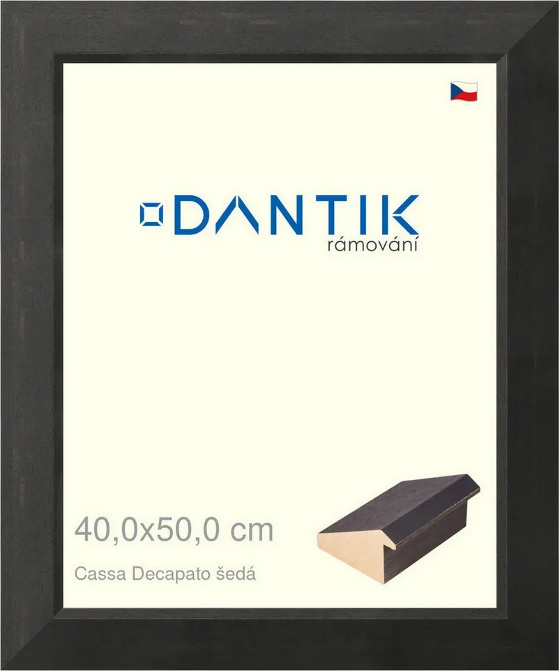DANTIK rámeček 40x50 | Caa Decapato černá (Plexi Čiré)