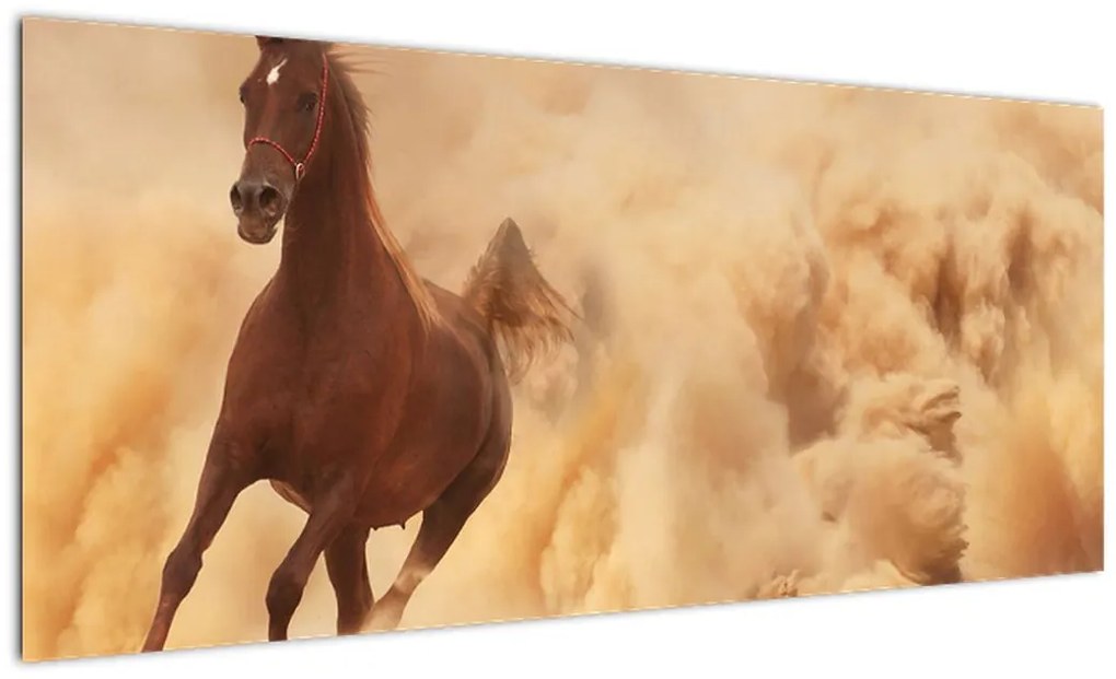 Cválající kůň - obraz (100x40cm)