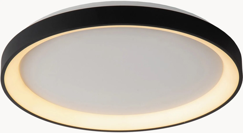 Stmívatelné stropní LED svítidlo Vidal