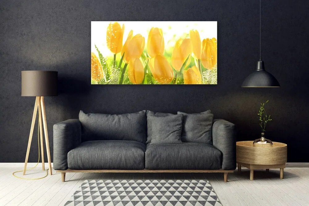 akrylový obraz Tulipány Květiny Rostlina 120x60 cm