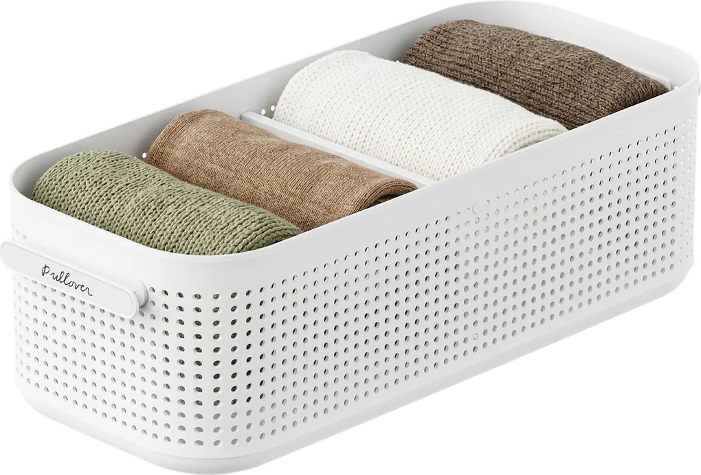 Rotho Úložný box do skříně, šatní organizér LISORA - M, 49,4 × 20,6 × 15 cm