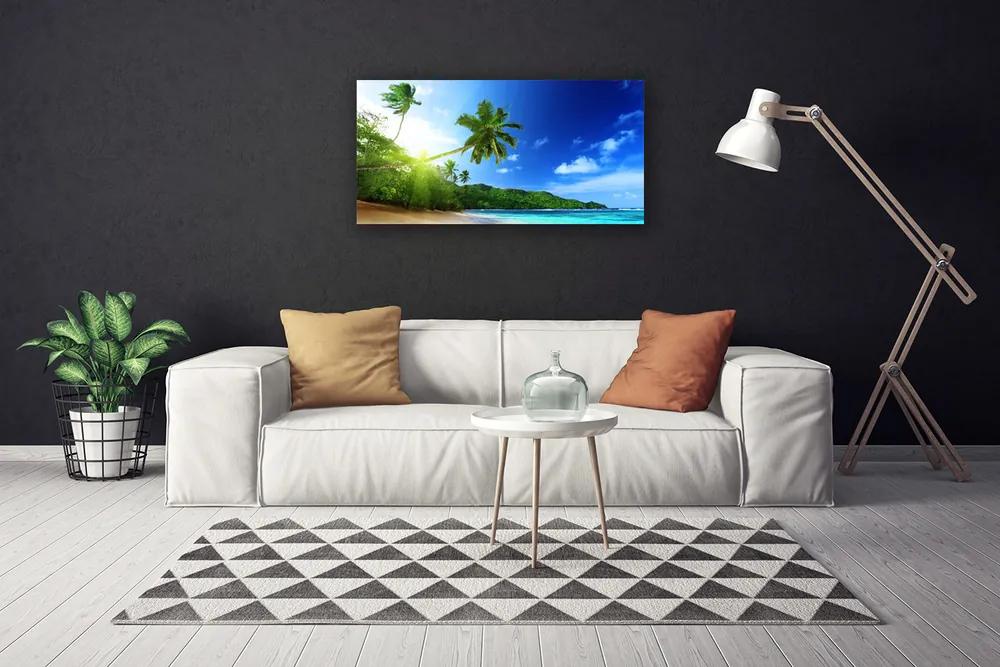 Obraz na plátně Pláž Moře Palma Krajina 100x50 cm