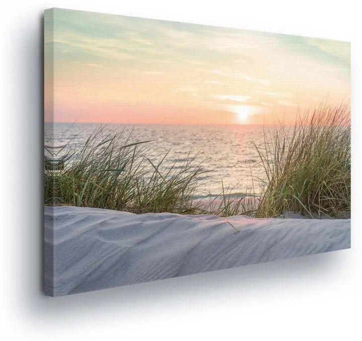 GLIX Obraz na plátně - Plážové Traviny 100x75 cm
