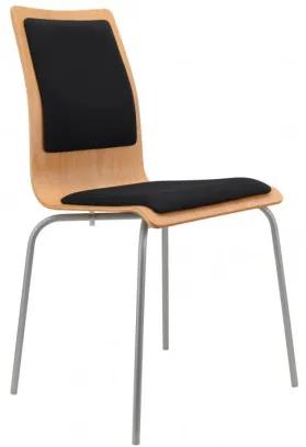 Alba Jídelní židle LILLY s čalouněnými panely Barva kostry černá kostra GALERIE - Čalounění Alba LÁTKY 1 / FILL, SUEDINE