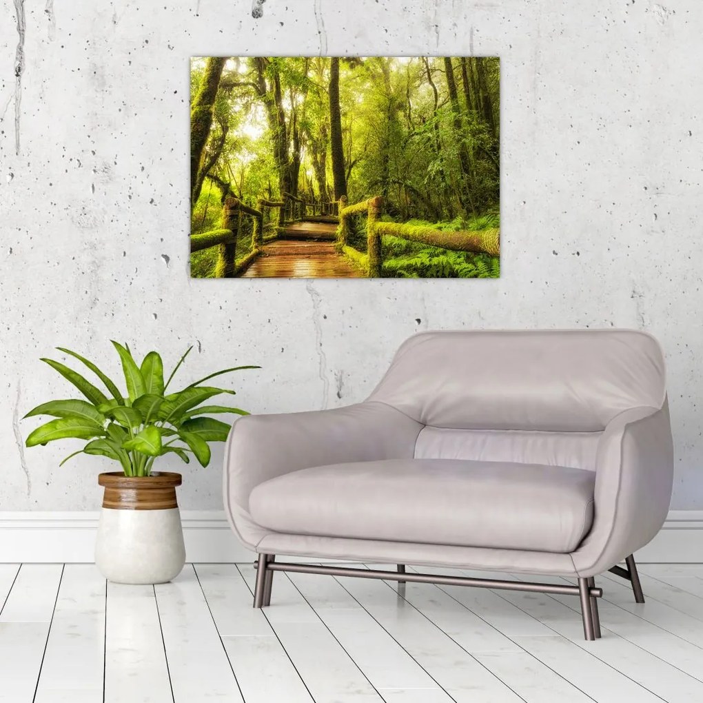 Skleněný obraz mechové džungle (70x50 cm)