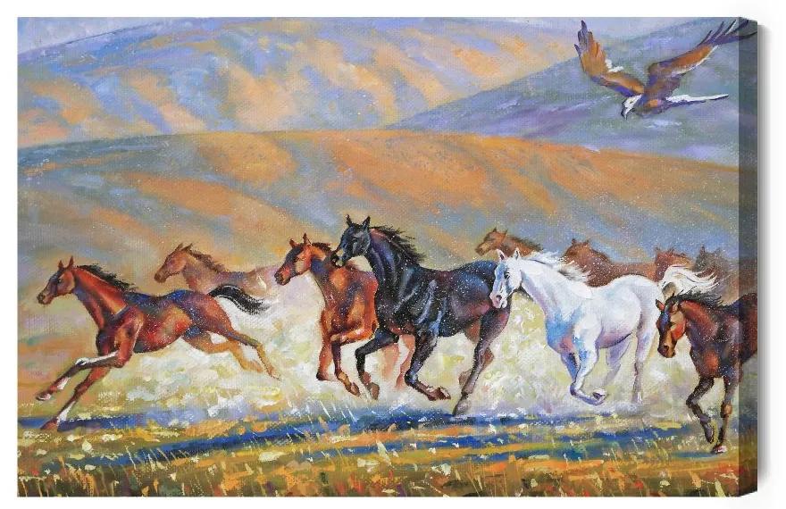 Obraz Koně Cválající V Horách Nedostatek Nedostatek Přírodní plátno 40x30