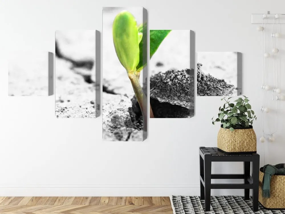 Vícedílný obraz 3D Rašení Rostlin Nedostatek Nedostatek Plátno Canvas 150x90