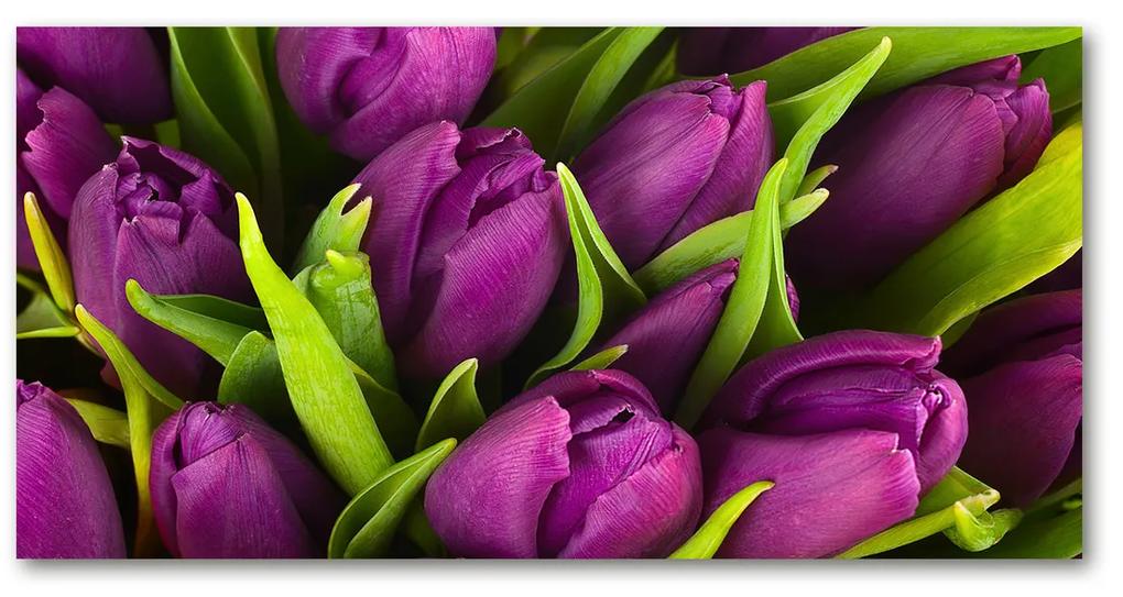 Foto obraz akryl do obýváku Fialové tulipány