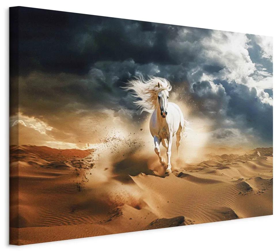 Obraz XXL Bílý kůň - divoké zvíře cválající arabskou pouští