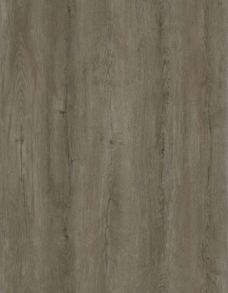 Oneflor Vinylová podlaha lepená ECO 30 067 Manor Oak Natural  - dub - Lepená podlaha