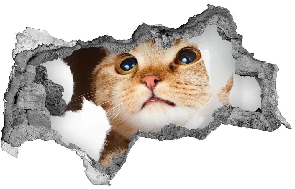 Wallmuralia Díra 3D fototapeta na stěnu Kočka v díře 95x73 cm
