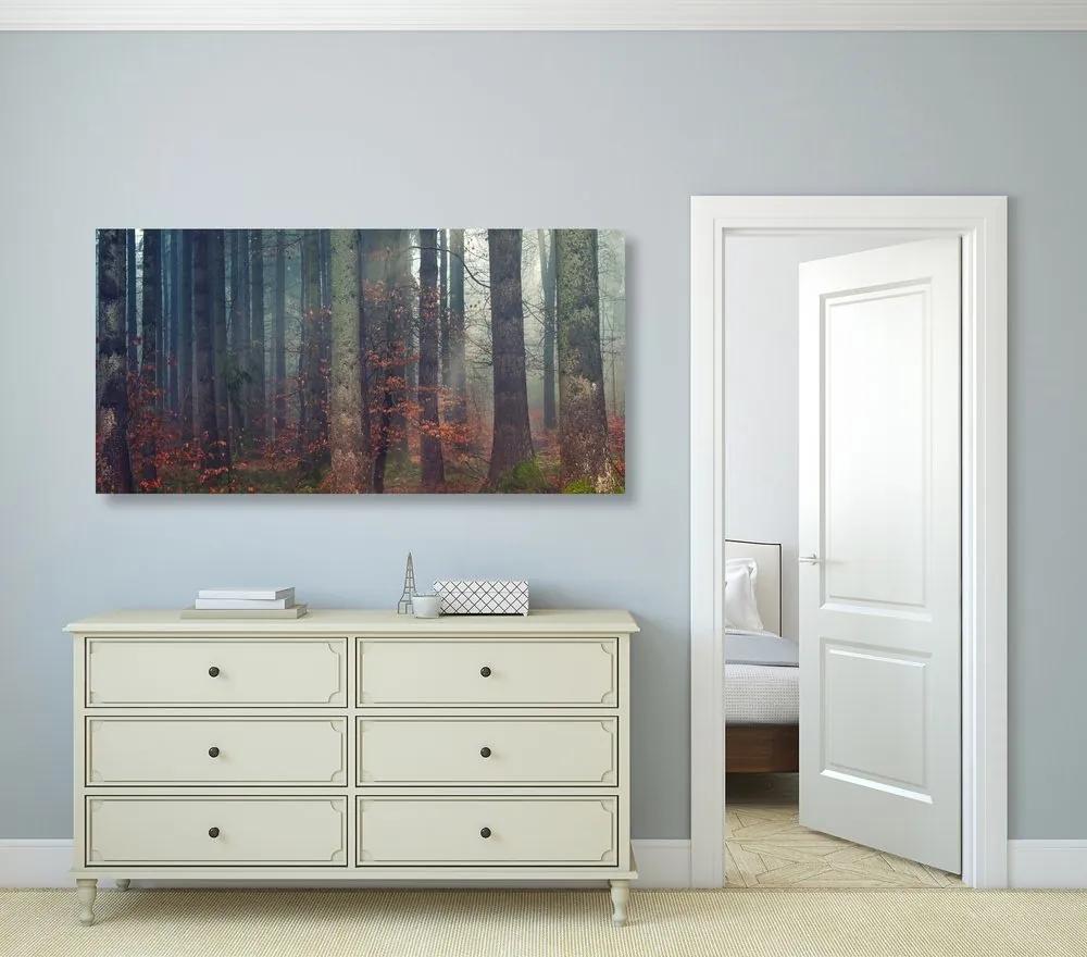 Obraz tajemství lesa - 120x60 cm