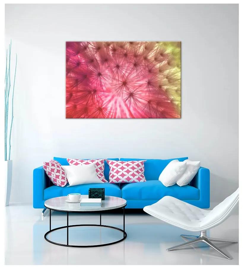 Malvis ® Abstraktní obraz chmýří pampelišek Velikost: 90x60 cm