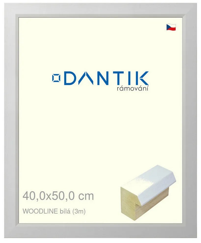 DANTIK rámeček 40x50 | WOODLINE bílá (Sklo Čiré)