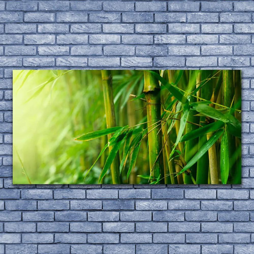 akrylový obraz Bambus Stonky Rostlina 120x60 cm