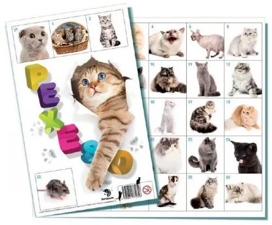 Kočky společenská hra 32 obrázkových dvojic