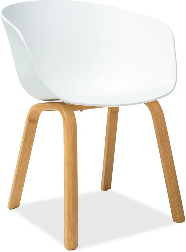 Jídelní plastová židle v bílé barvě s kovovou konstrukcí v dekoru dub KN640