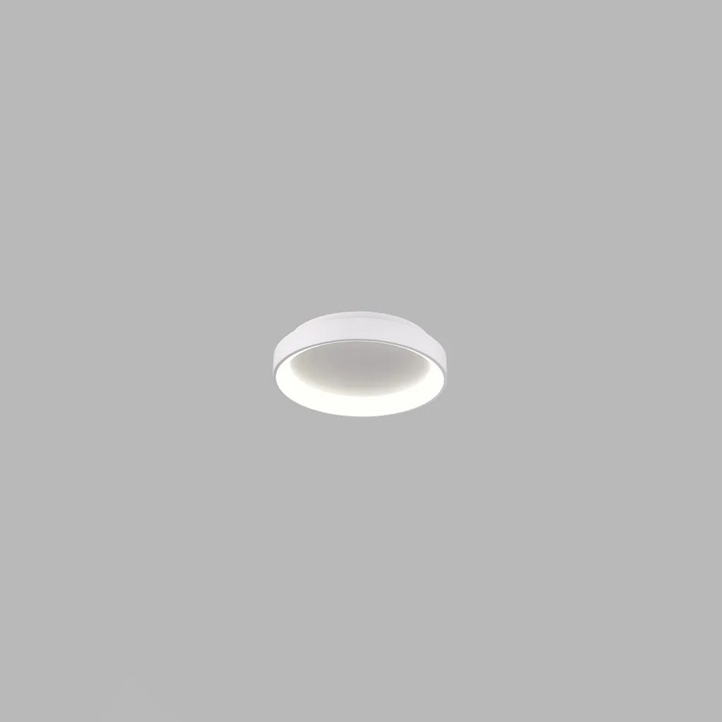 Minimalistické kruhové stropní svítidlo Bella Slim Ceiling Minimalistické kruhové stropní svítidlo Bella Slim Ceiling Barva: Bílá, Průměr: 280 mm,…