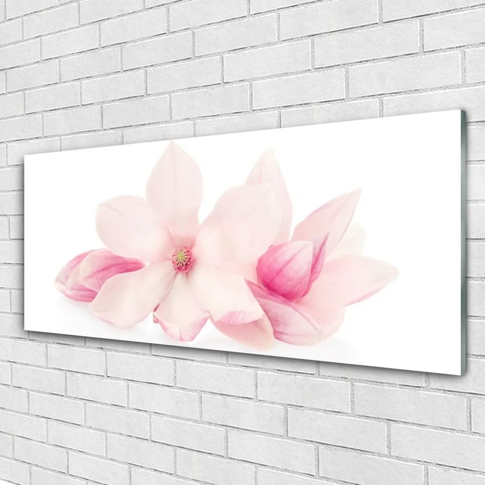 Plexisklo-obraz Květiny Plátky Rostlina Příroda 125x50 cm