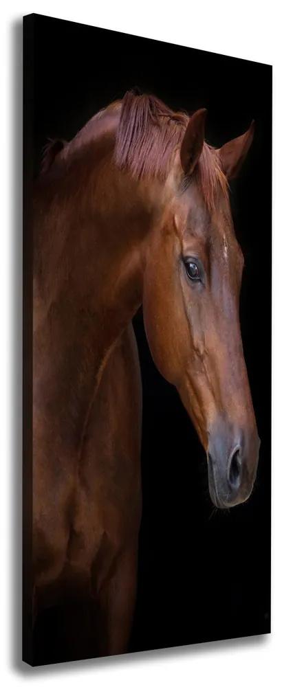 Wallmuralia Foto obraz na plátně Portrét koně 50x125 cm