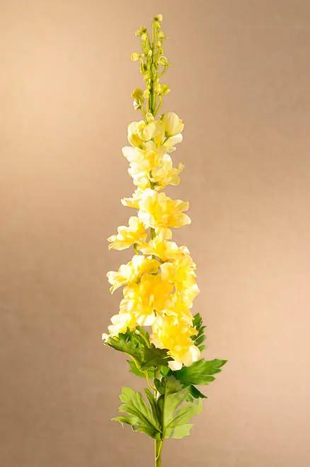 Paramit DELPHINIUM Aranžovací květina žlutá 79 cm