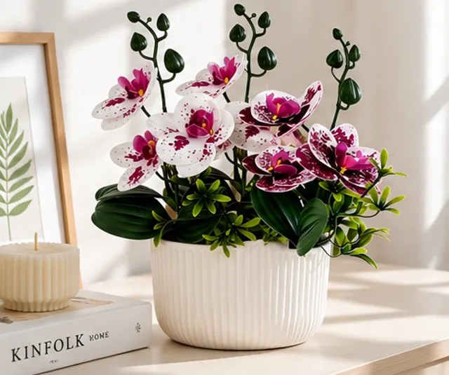 umělá květina, orchidej Phalaenopsis, sada 2 ks, výška 38 cm, plast, bílá/vínová, Dekorino UK20260030