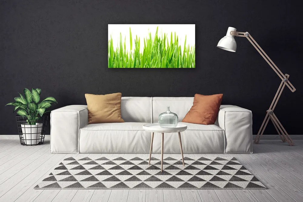 Obraz na plátně Tráva Rostlina Příroda 140x70 cm