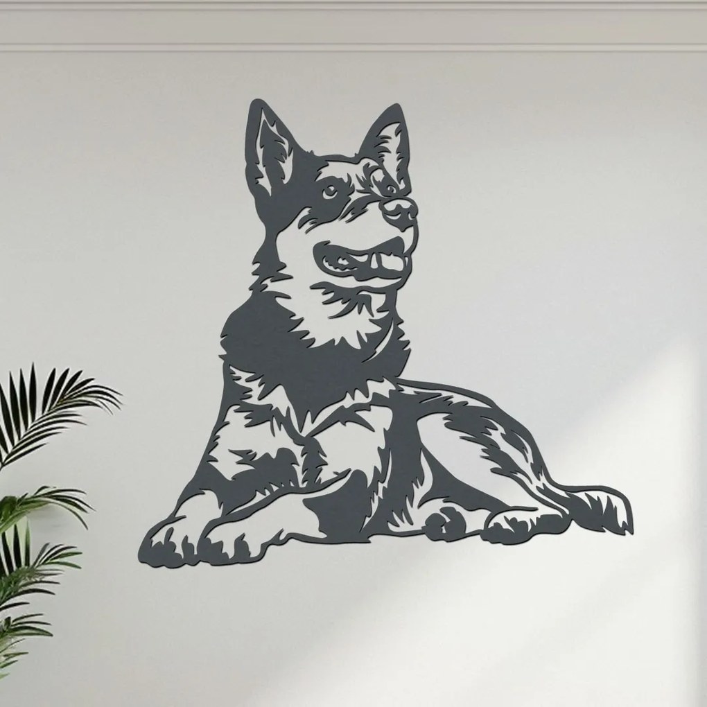 dřevo života Dřevěný obraz Australského honáckého psa Rozměry (cm): 40x38, Zvolte barvu dekoru: Antracitová