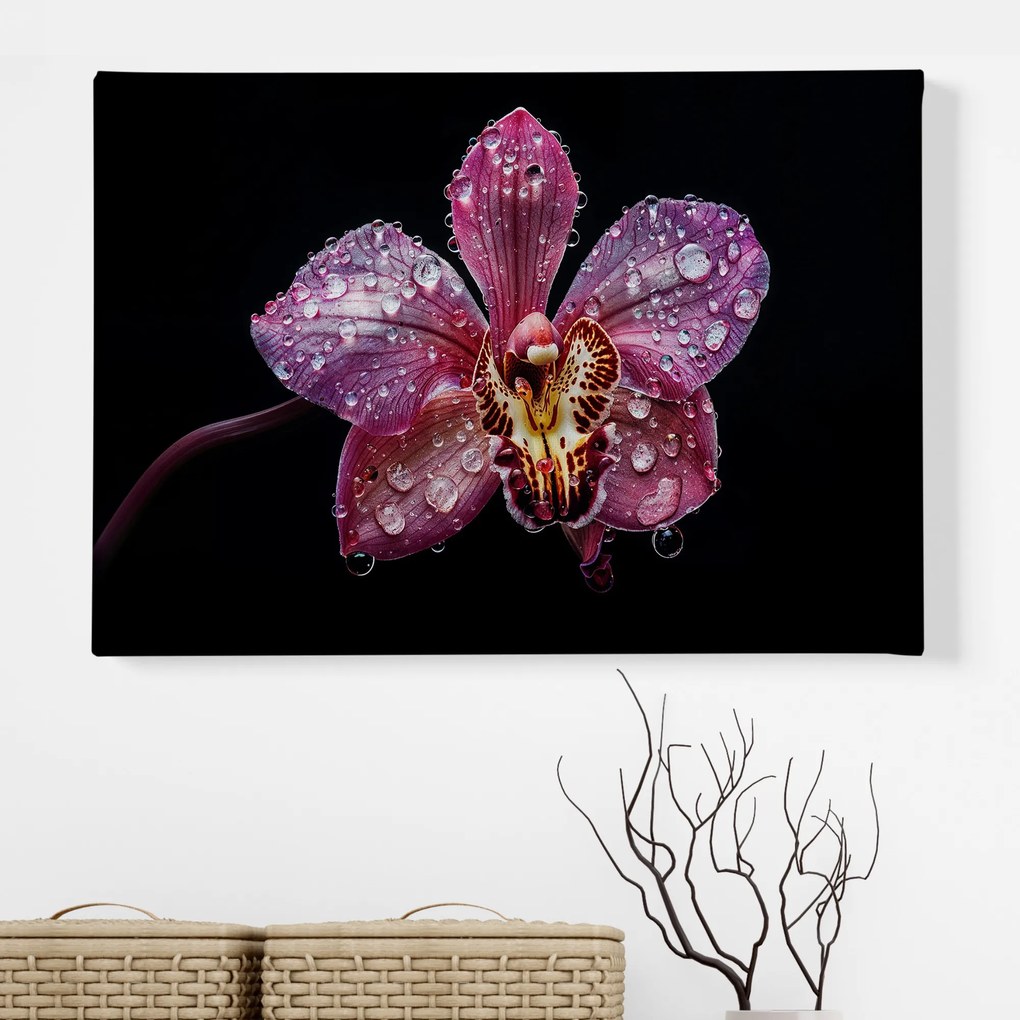 Obraz na plátně - Orchidej, kapky souznění FeelHappy.cz Velikost obrazu (šířka x výška): 90 x 60 cm