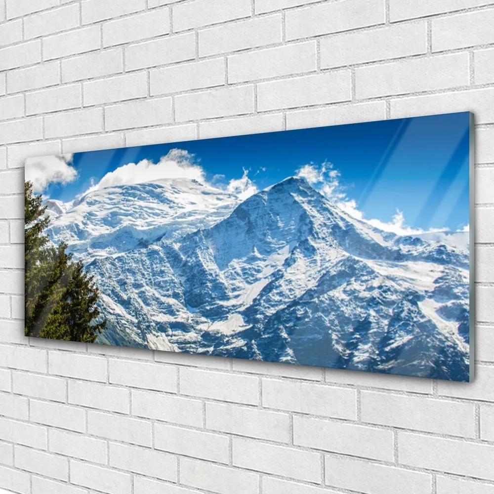akrylový obraz Hora Strom Krajina 125x50 cm