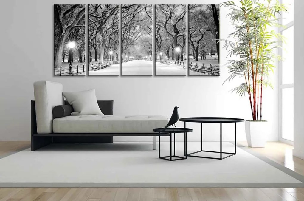 Obraz Central Park Velikost (šířka x výška): 150x70 cm