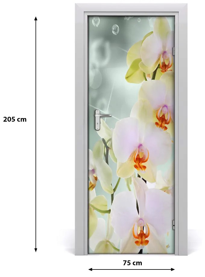 Fototapeta samolepící Orchidej 75x205 cm