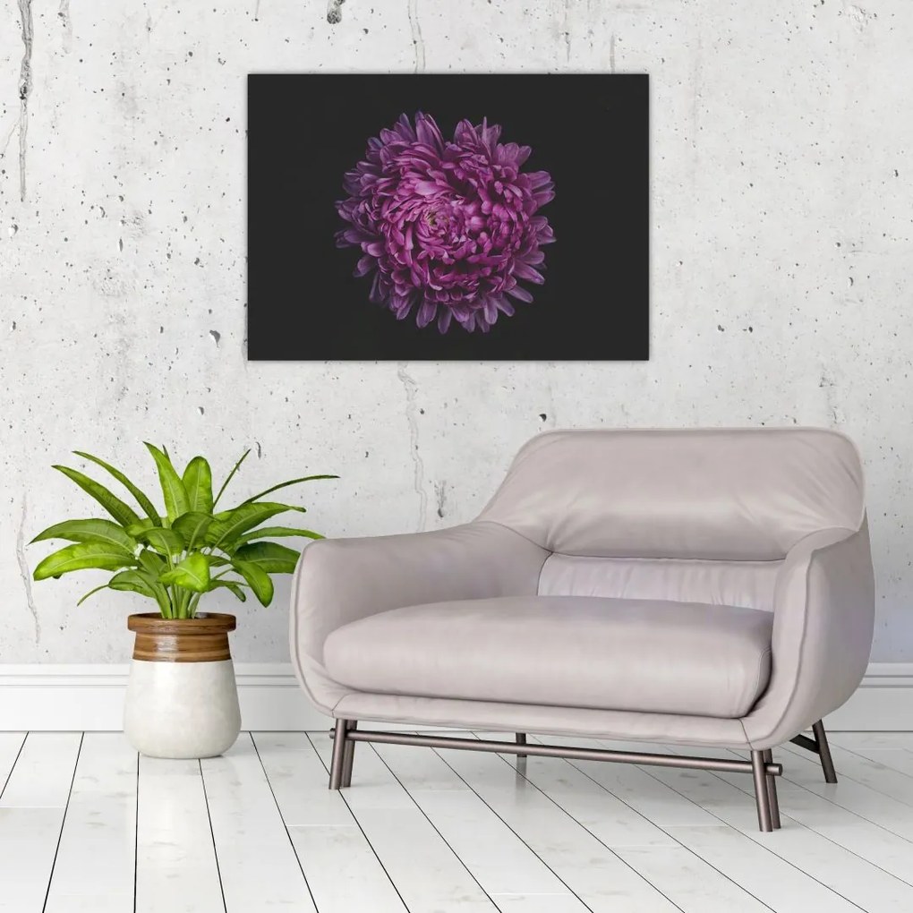 Skleněný obraz fialové květiny (70x50 cm)