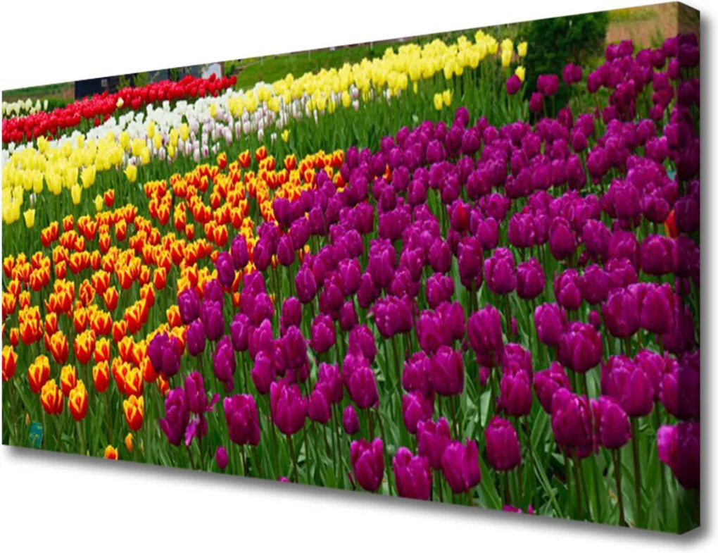 Obraz na plátně Skleněný Tulipány Květiny
