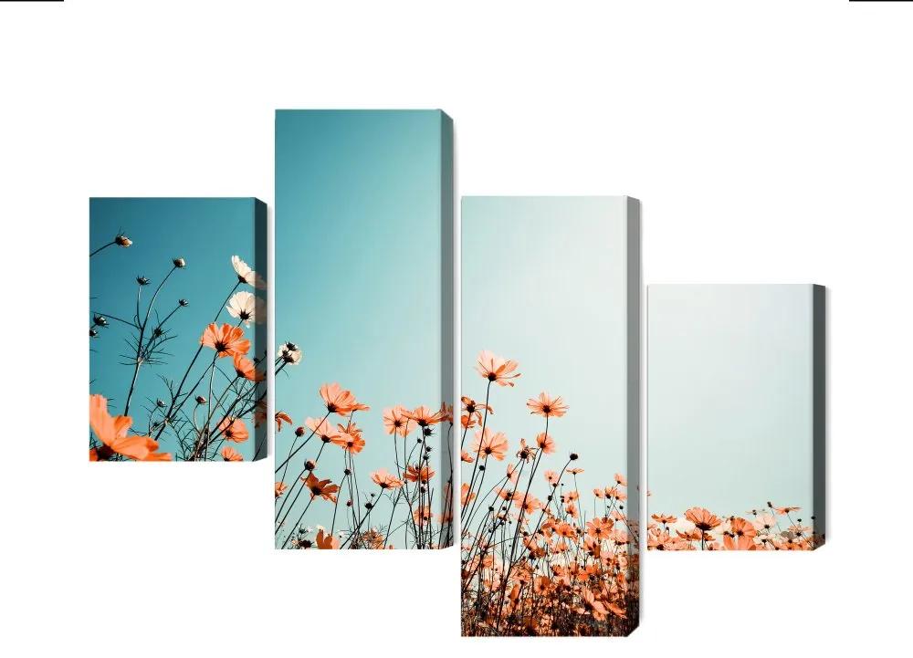 Vícedílný obraz Polní Květiny Na Slunci Nedostatek Nedostatek Plátno Canvas 160x100