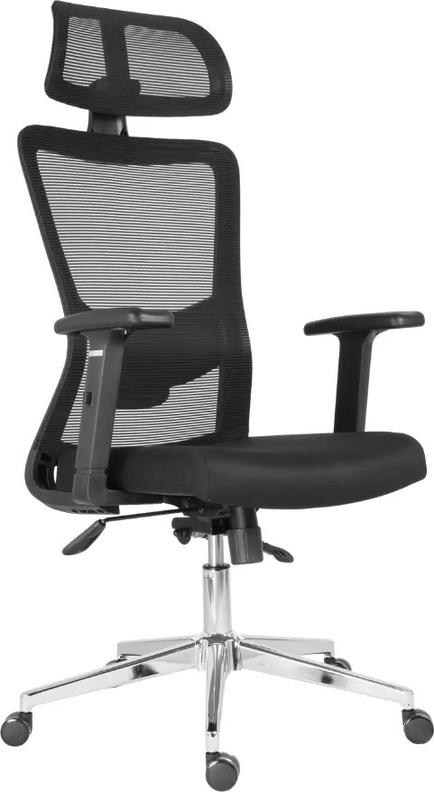 Ergonomická kancelářská židle ERGODO FAGER - černá síťovina / nosnost 150 kg