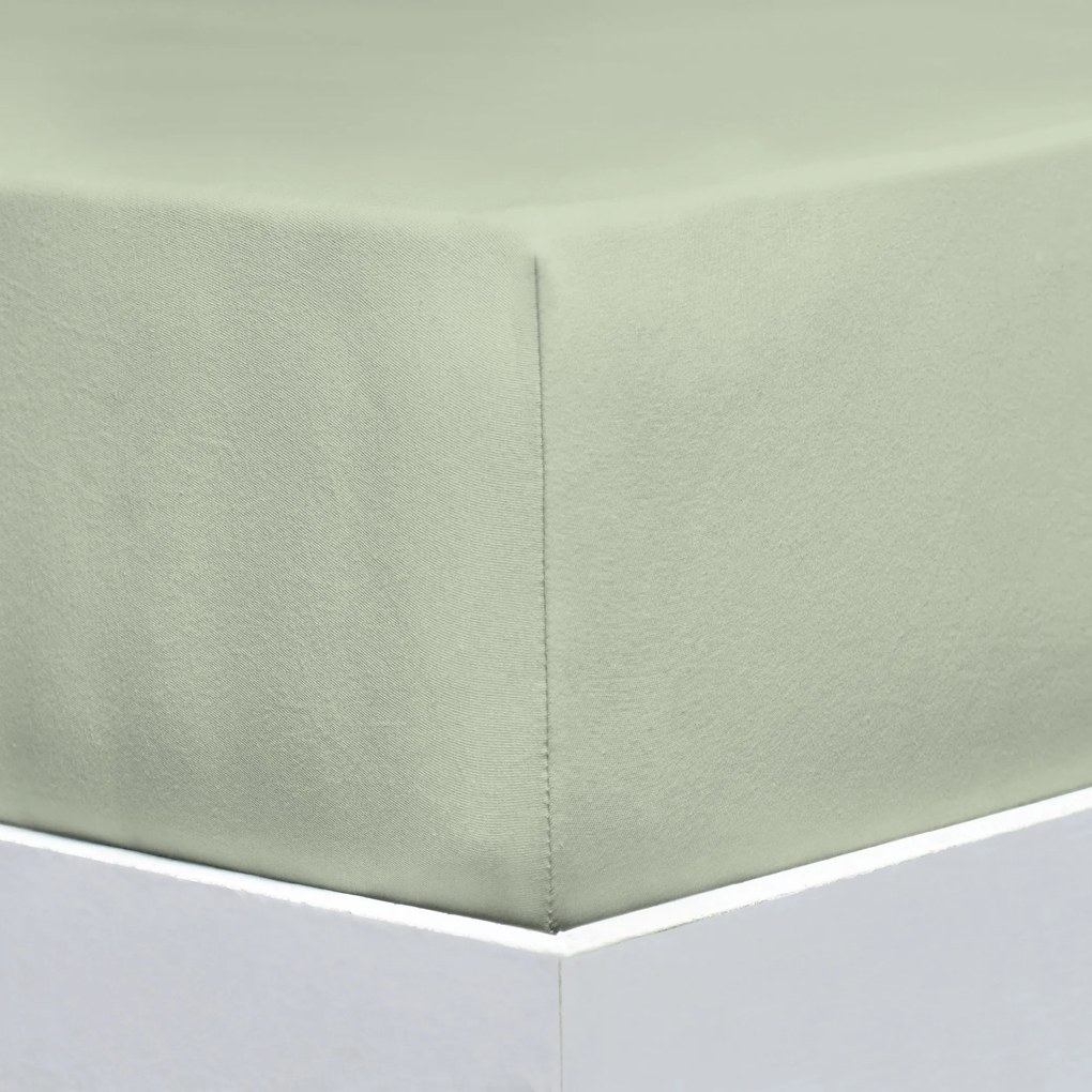 Florella Prostěradlo Avance Jersey Elastan Pastel Grün, 180x200-220 cm
