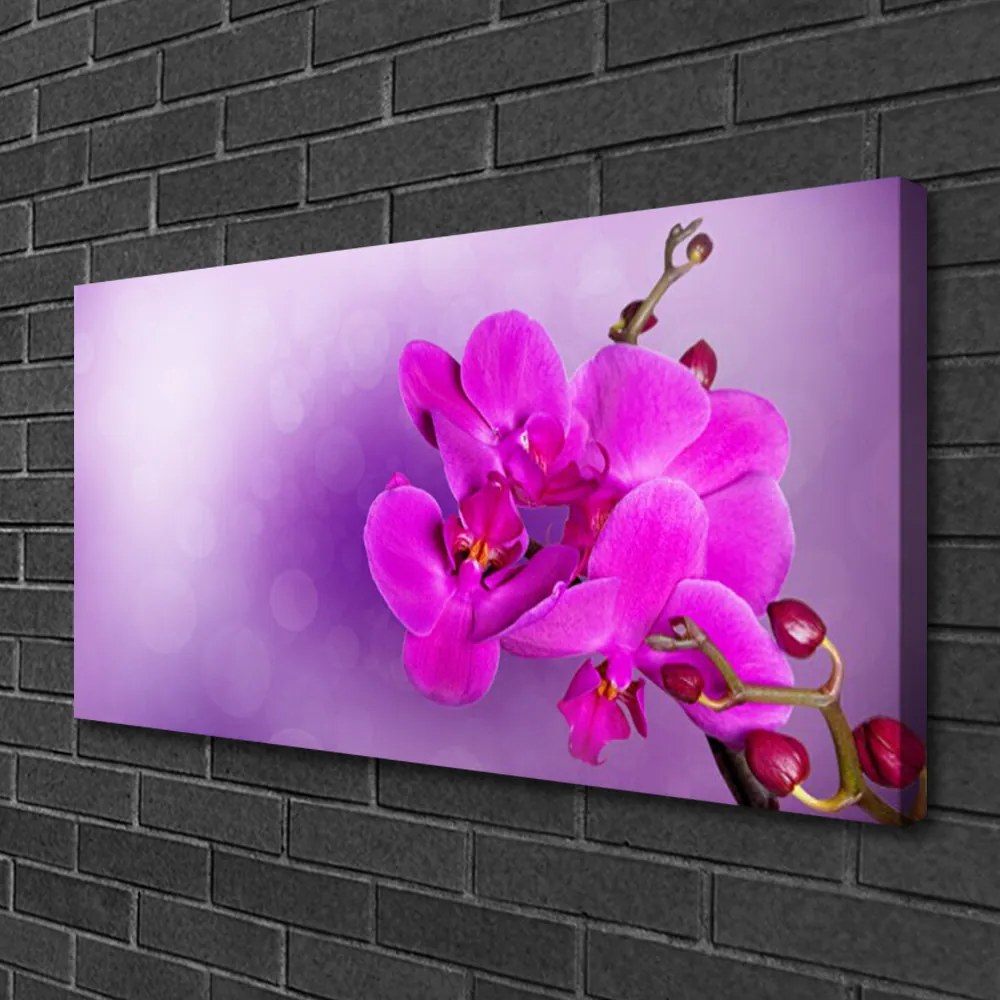 Obraz na plátně Květiny Plátky Orchidej 125x50 cm