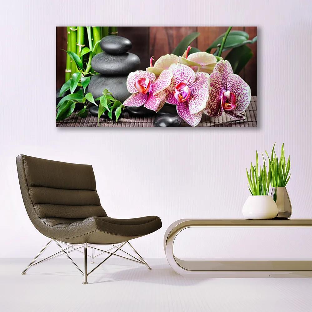 Plexisklo-obraz Bambus Kameny Zen Květiny 120x60 cm