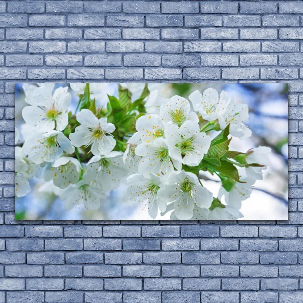 Plexisklo-obraz Květiny Strom Listy Příroda 120x60 cm