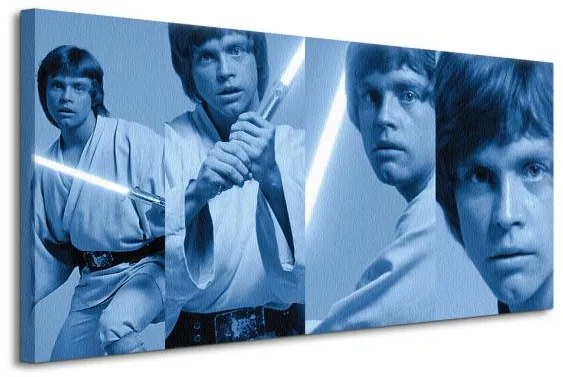 Art Group Obraz na plátně Star Wars (Luke Skywalker Pose) 100x50cm