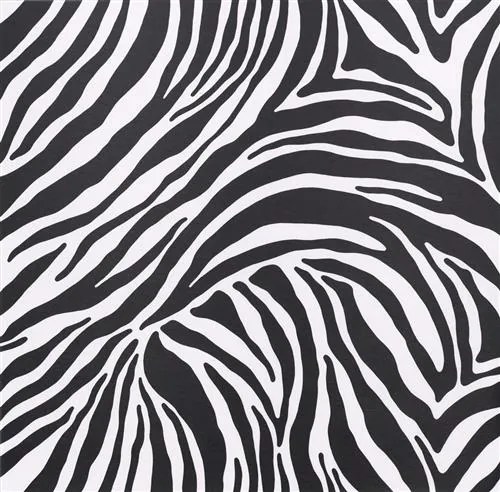 Samolepící tapety zebra 45 cm x 15 m