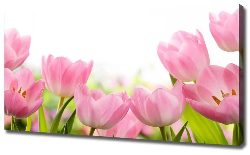 Wallmuralia Foto obraz na plátně Růžové tulipány 120x60 cm