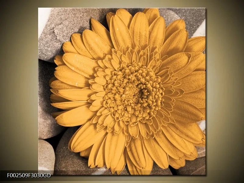 Obraz krásného žlutého květu (), 40 dalších rozměrů