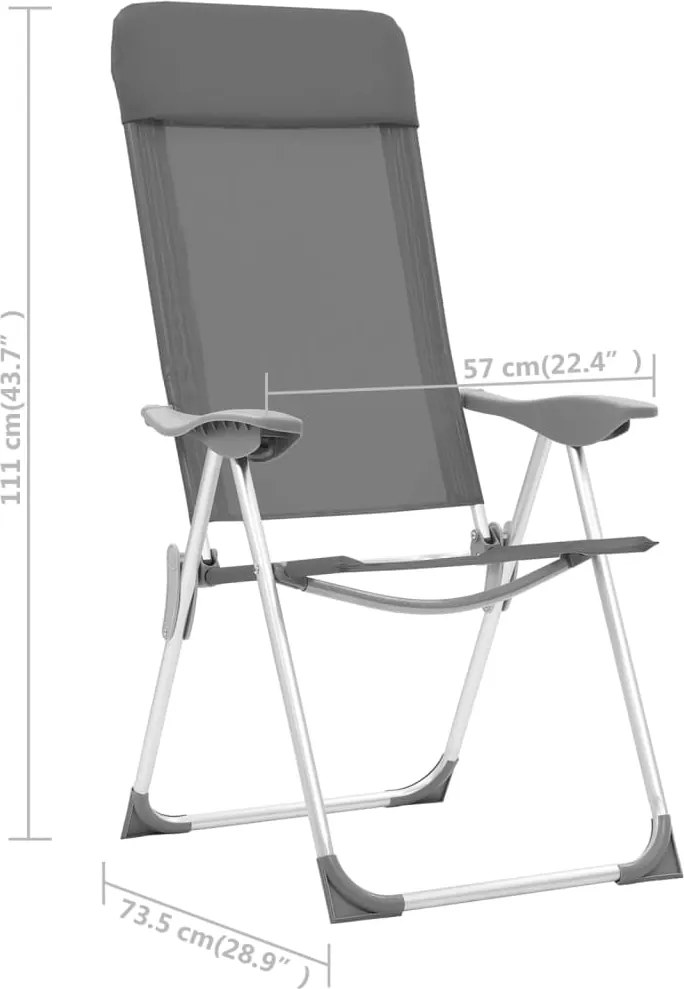 vidaXL Marketos Skládací kempingové židle 2 ks šedé hliníkové