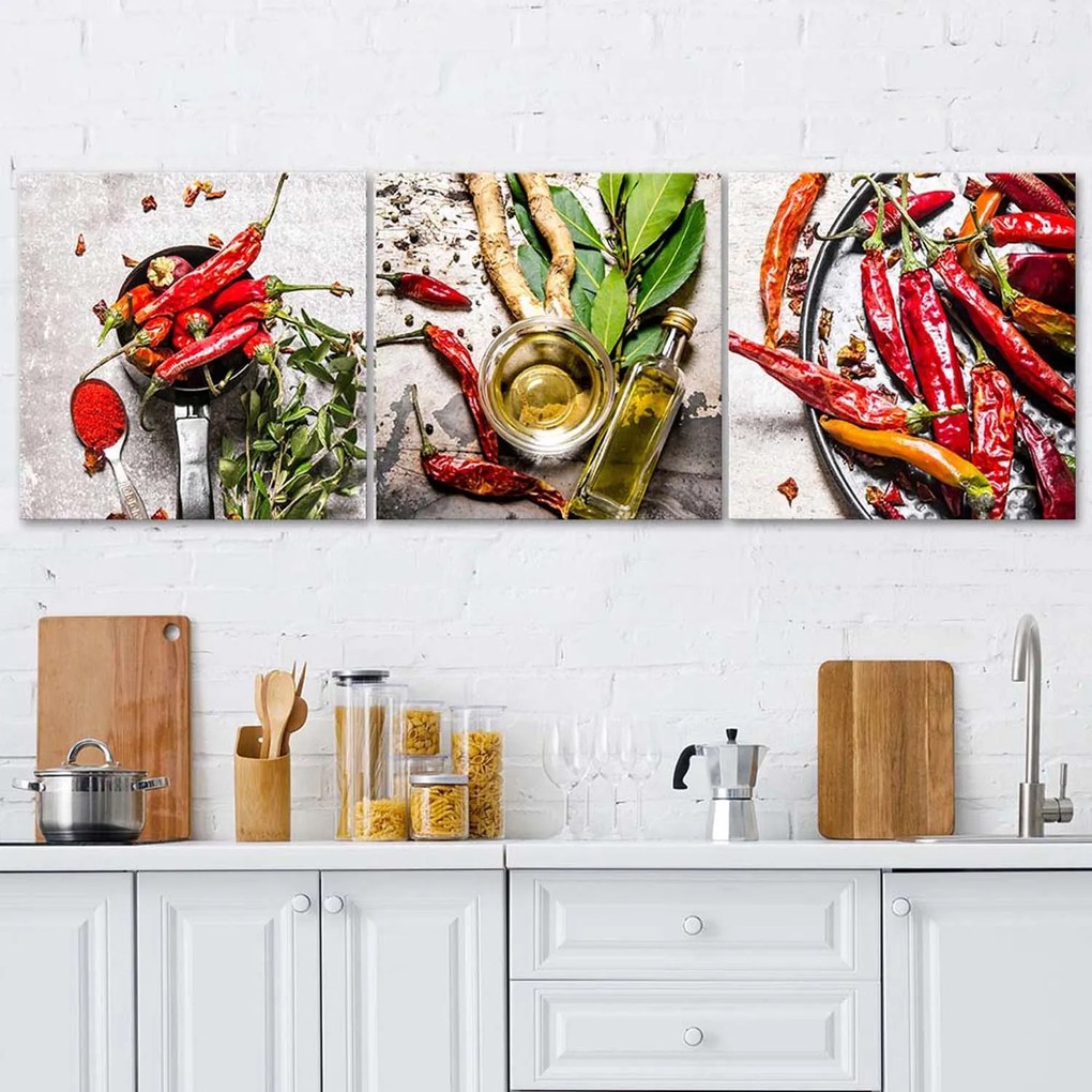 Gario Sada obrazů na plátně Sušené červené chilli papričky - 3 dílná Rozměry: 90 x 30 cm
