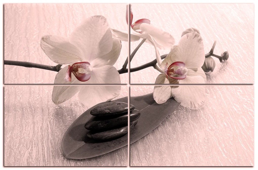 Slika na platnu - Cvjetovi orhideja 162FC (120x80 cm)